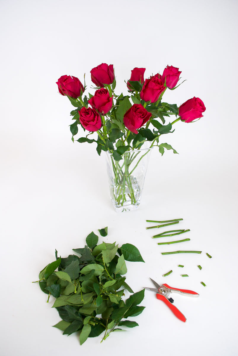How to Care for Your Fresh Flowers – Cultivars