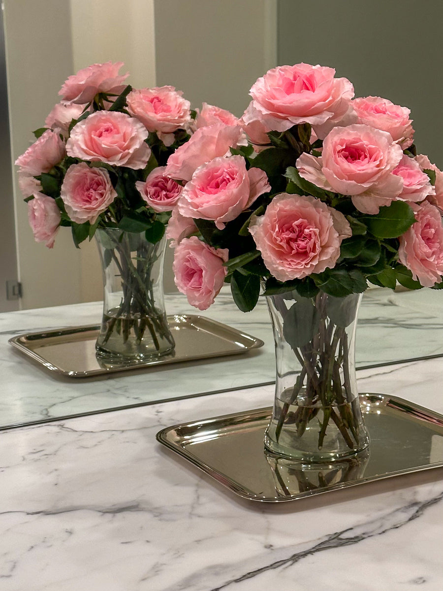 Queen Mayra Rose – Cultivars