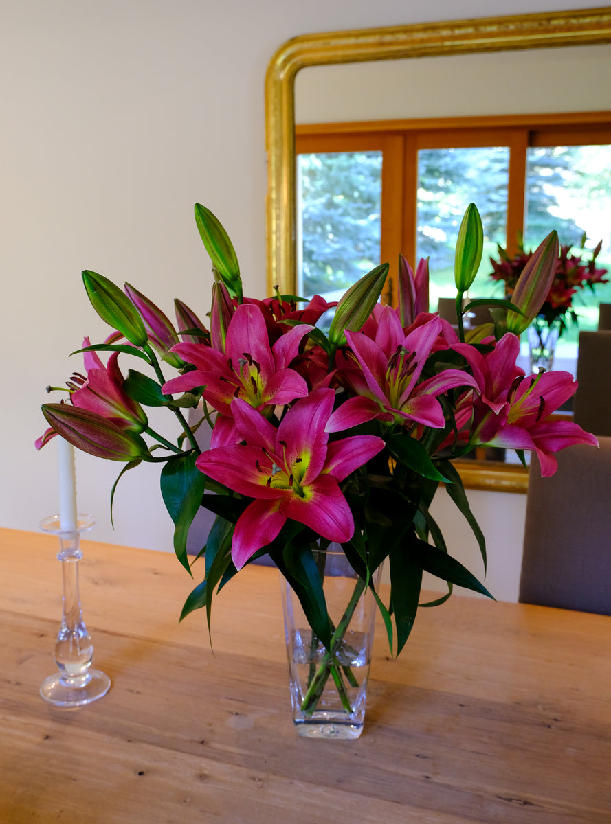 Touchstone Oriental Lily – Cultivars